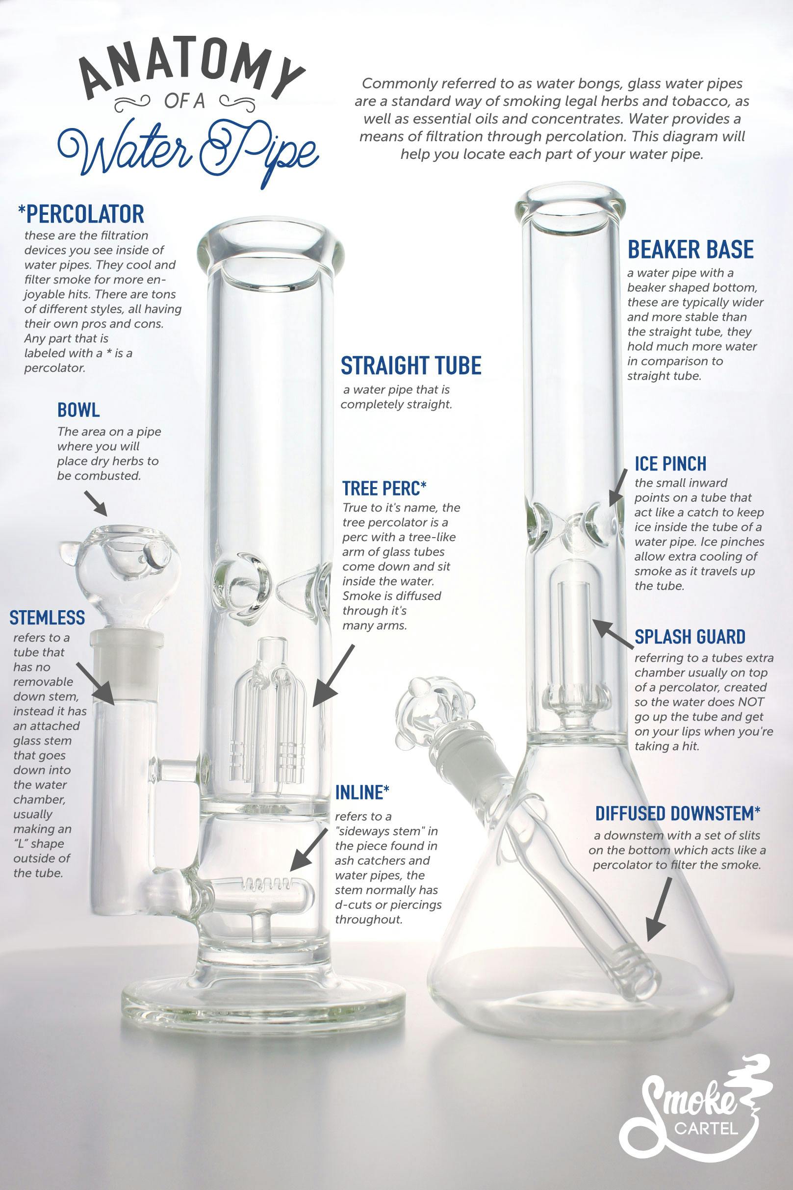How Does a Bong Work? A Guide to the Water Pipe | Leafly