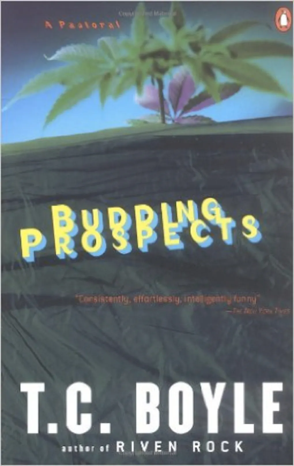 Build Your Own Cannabis Library With These Must-Read Books About ...