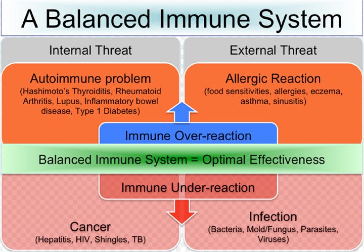 Cannabinoids and the Immune System: Immuno-Cannabinoid Effects | Leafly