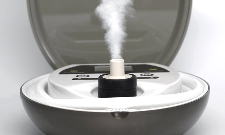 Culinary Cannabis: Chris Sayegh’s Michelin-Starred Background Inspires ...