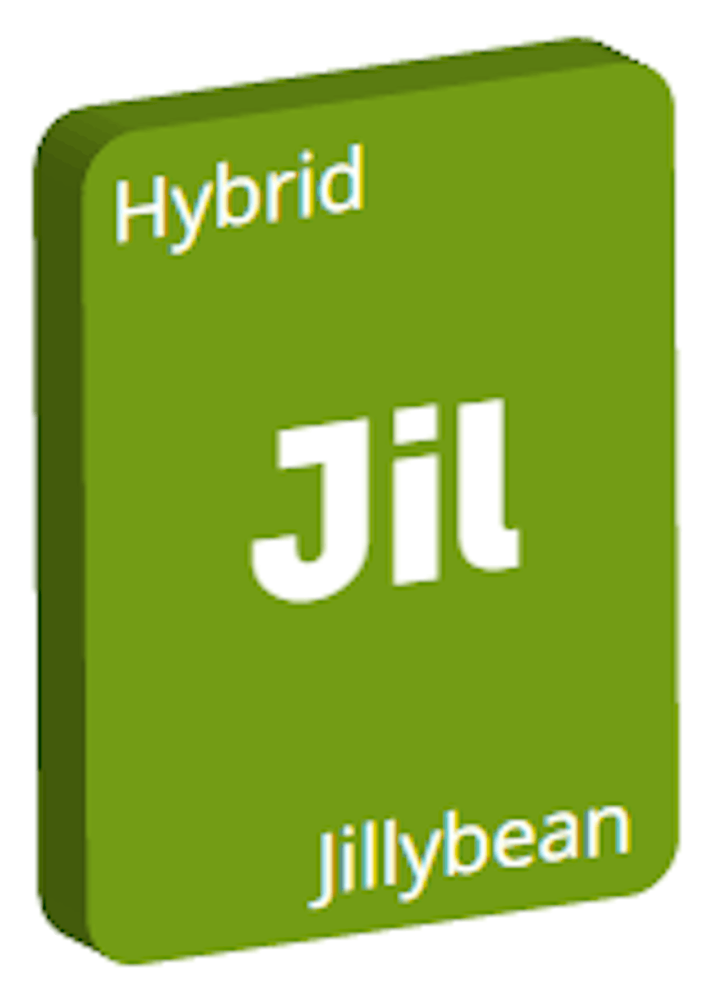 Happy Hanukkah! 8 Crazy Strains for Making Hash Oil | Leafly