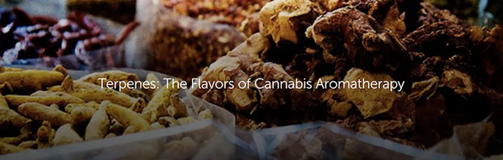 Cannabis science 101: The complex chemistry of the bong | Leafly