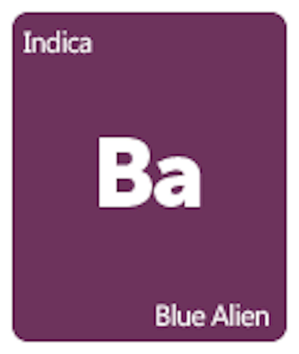 New Strains Alert: Blue Alien, Ray Charles, Cindy White, Pineapple Haze ...