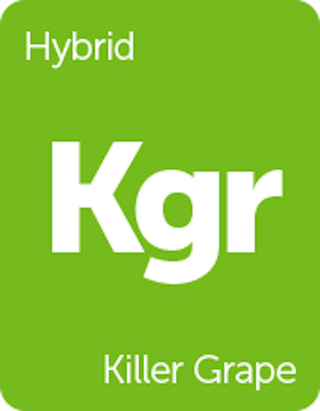 New Strains Alert: Firewalker OG, Killer Grape, Island Maui Haze, Mt ...