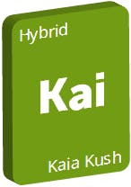New Strains Alert: Phantom OG, Kaia Kush, Afghan Haze, Bay Dream, and ...