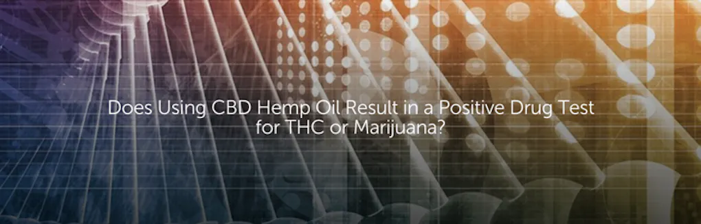 Science Revisited: Will Using CBD Hemp Oil Lead to a Positive Drug Test ...