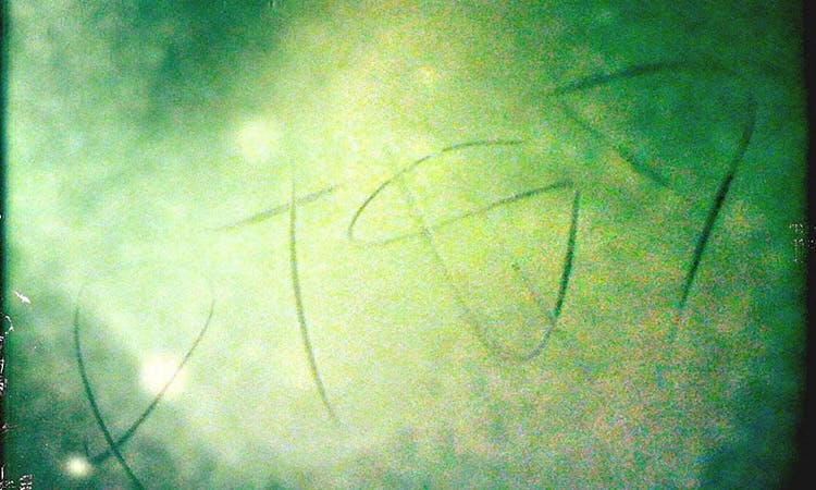 The Leafly Starter Pack: A Comprehensive Guide to Medical Cannabis | Leafly