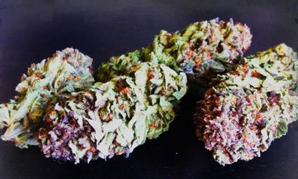 The Leafly Starter Pack: A Comprehensive Guide to Medical Cannabis | Leafly