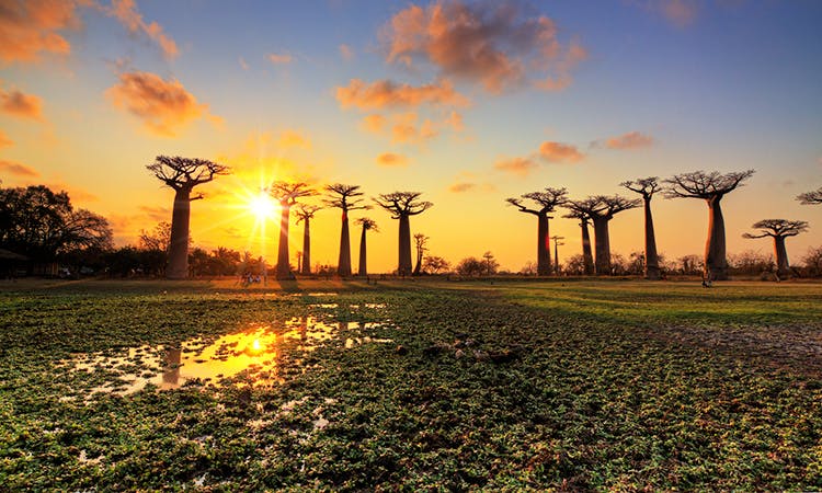 The World’s 10 Most Beautiful Places with Strains Named After Them | Leafly