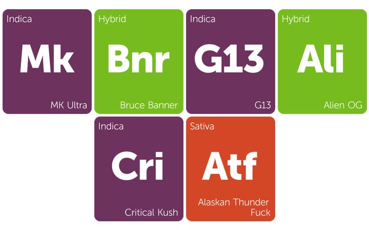 Which Cannabis Strains Give You the Best Bud for Your Buck? | Leafly