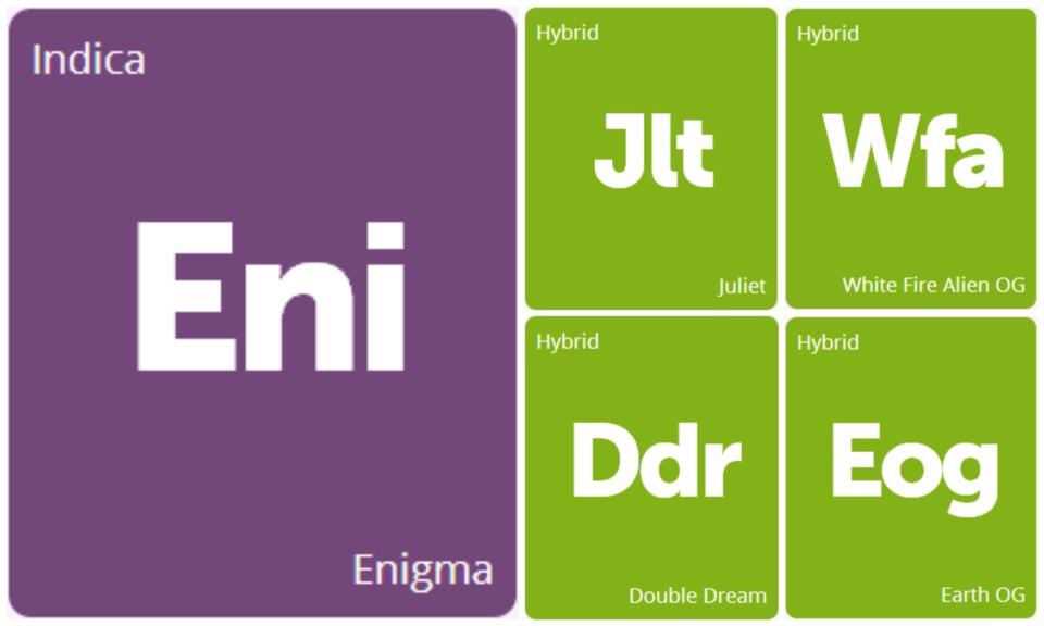 New Strains Alert: Enigma, Juliet, White Fire Alien OG, Double Dream ...