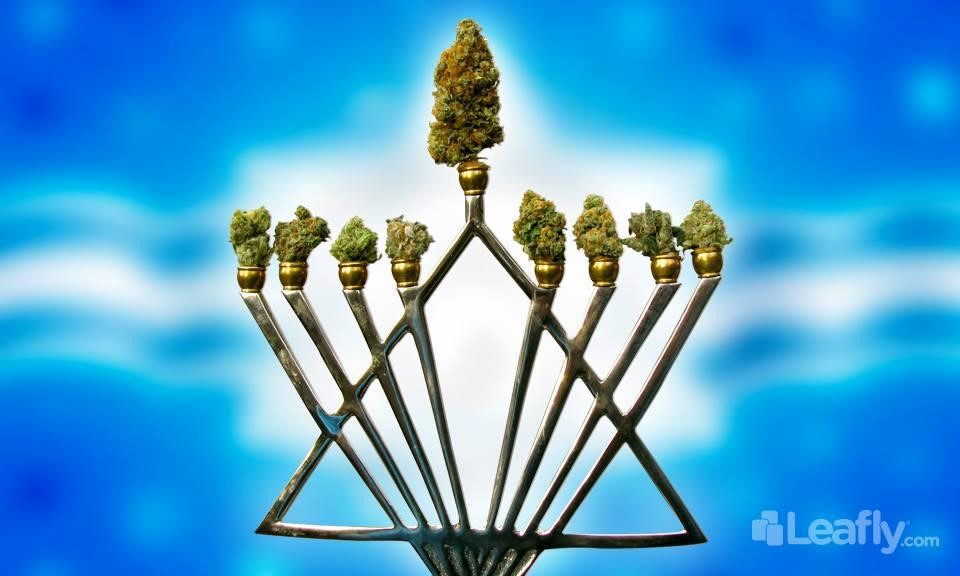 Happy Hanukkah! 8 Crazy Strains for Making Hash Oil | Leafly