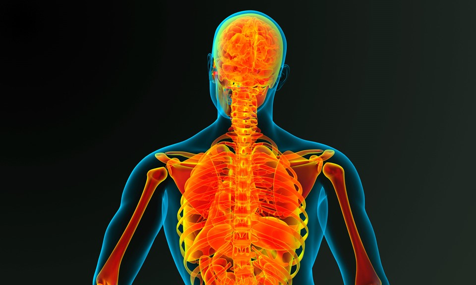 5 Promising Cannabis Studies That Explore How Cannabinoids Interact ...