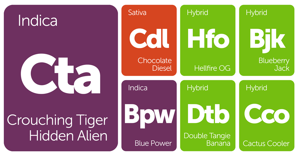 New Strains Alert: Blueberry Jack, Hellfire OG, Double Tangie Banana ...