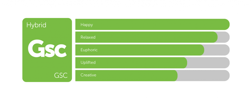 Canada’s Most Searched Cannabis Strains in the First Month Since ...