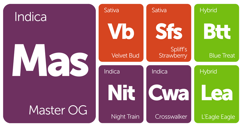 New Strains Alert: Master OG, Velvet Bud, Crosswalker, and Night Train ...