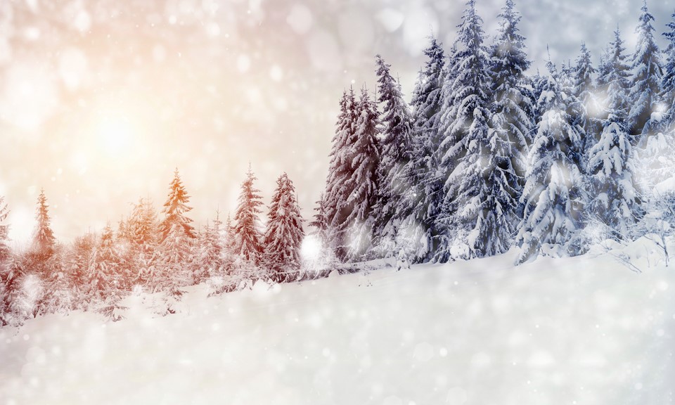 Leafly's Guide to Surviving the Snowpocalypse | Leafly