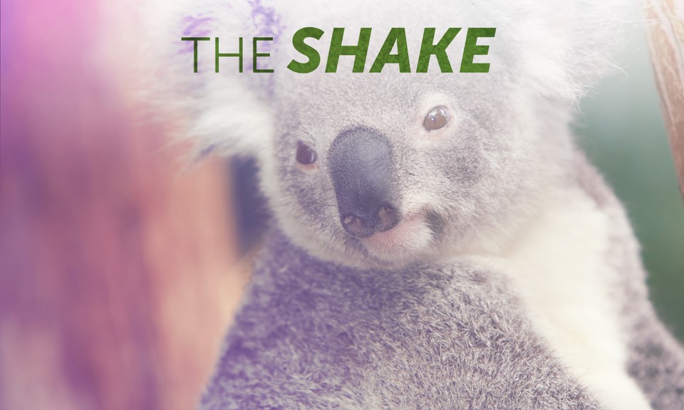 The Shake: Cannabis Comes to Koala Country, Seattle Times Rolls Eyes at ...