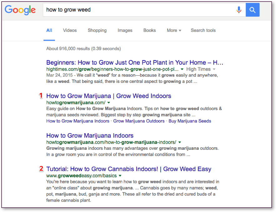 Cannabis vs. Marijuana vs. Weed Google Searches | Leafly