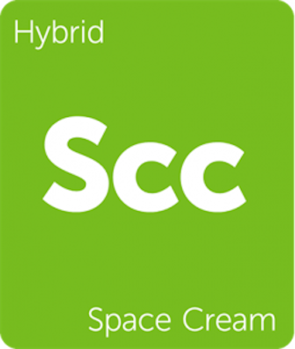 New Strains Alert: Space Cream, Mother's Milk, Pink Lemonade, and More ...
