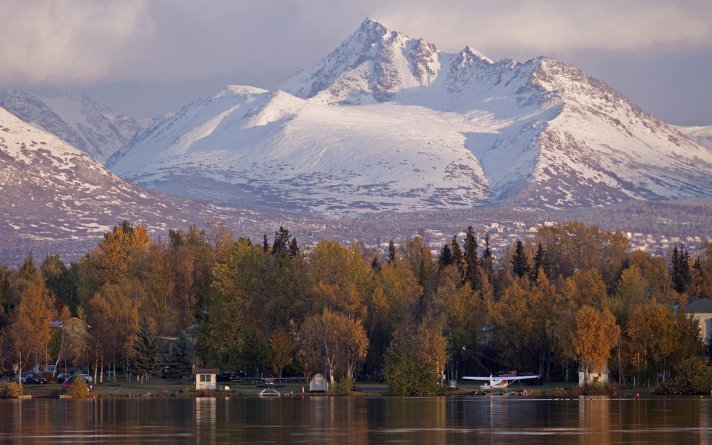 State of the Leaf: Alaska’s First Legal Cannabis Harvest Just Began. It ...