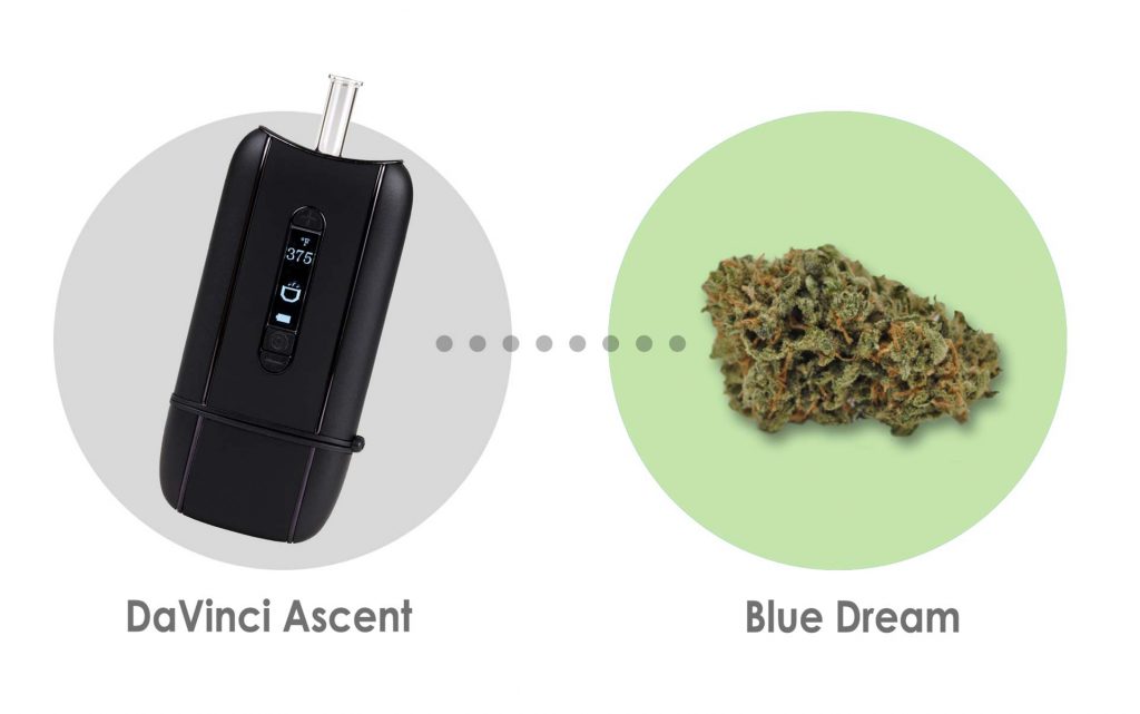 Best Vapes for the Top 10 Cannabis Strains | Leafly