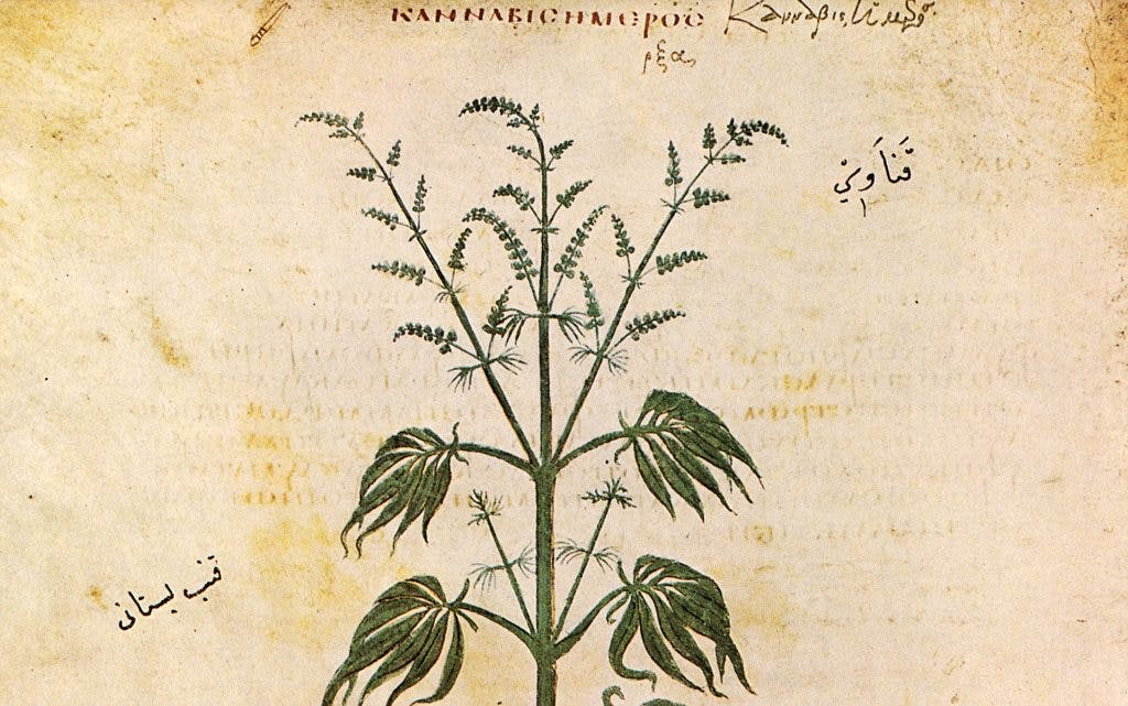 A People’s History of Cannabis Consumption | Leafly