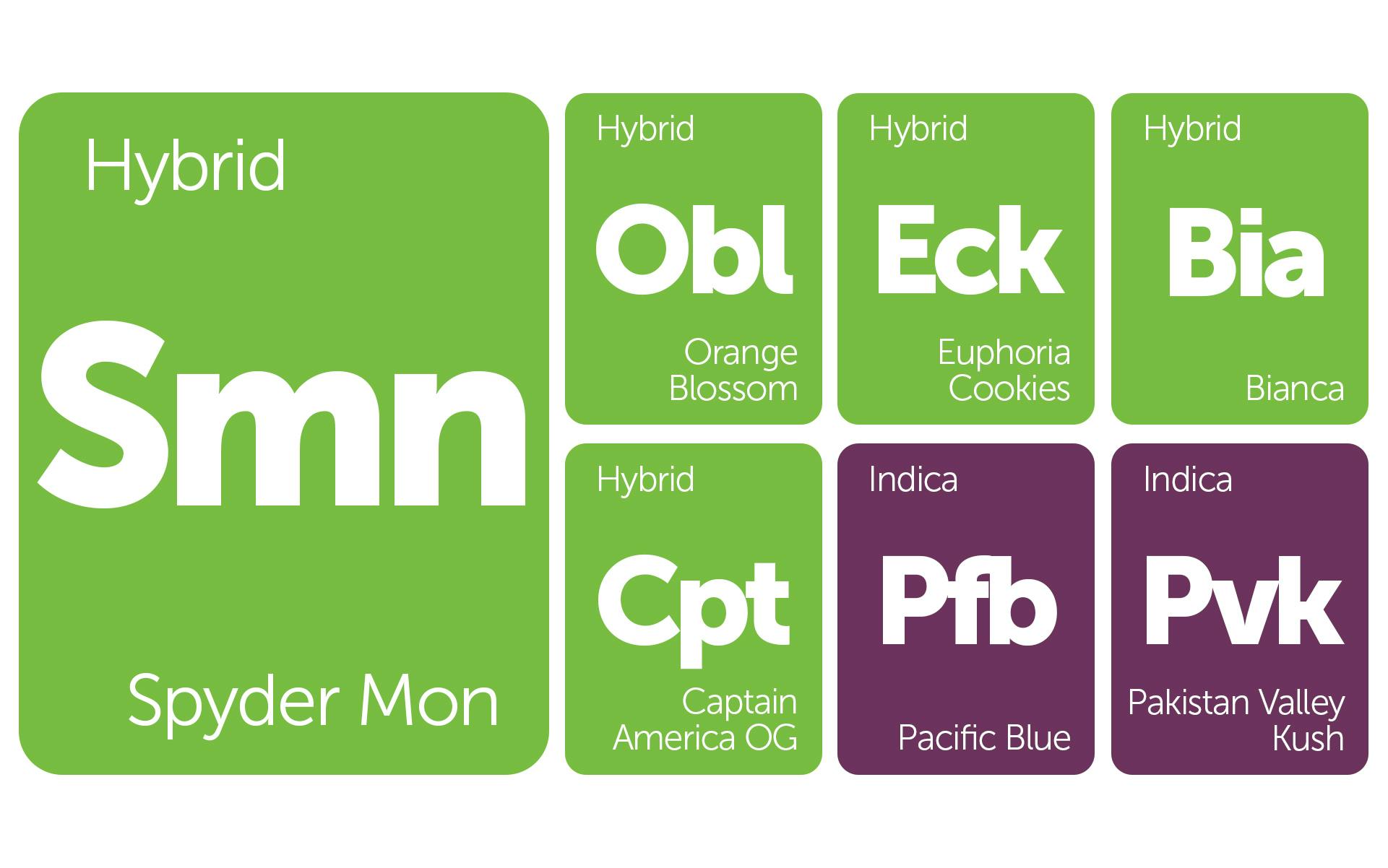 New Strains Alert: Pacific Blue, Euphoria Cookies, Bianca, and More ...