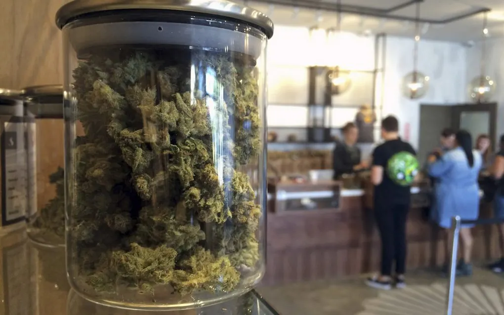 How to Find a Job in the Cannabis Industry | Leafly
