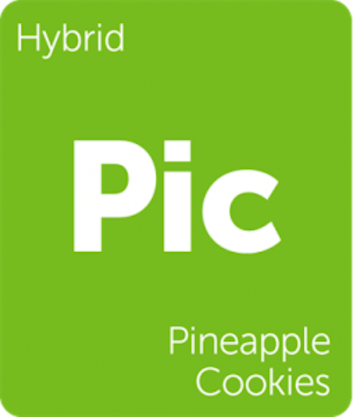 New Strain Alert: Peyote Cookies, Chocolate Drop, Pineapple Cookies ...