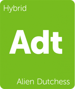 New Strains Alert: Alien Dutchess, Katsu Bubba Kush, and More | Leafly