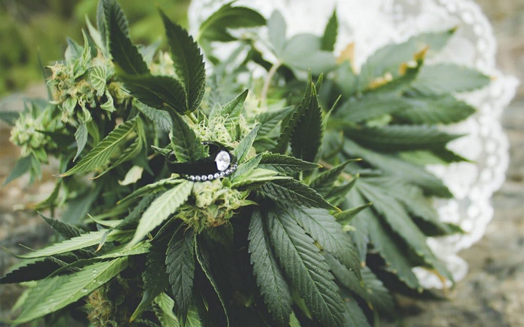 Check Out These Gorgeous Photos of 5 Real Cannabis Weddings | Leafly
