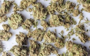 Is The Cannabinoid THCV Psychoactive Leafly Is The Cannabinoid THCV Psychoactive Leafly
