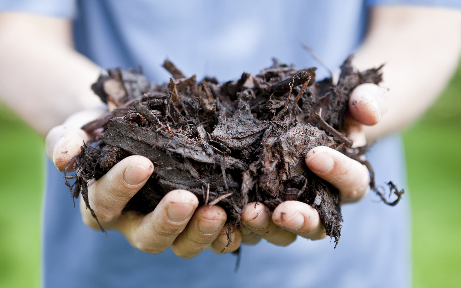 What Are Hügels and Why Are They All Over Instagram? | Leafly