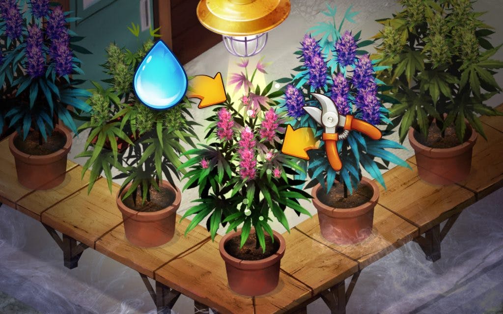 10 Thoughts We Had Playing the ‘Hempire’ Mobile Game While High | Leafly