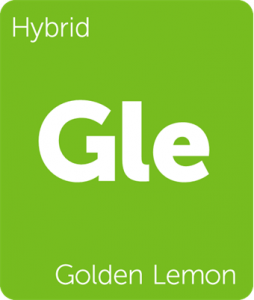 New Strains Alert: OG Glue Sniffer, Buckeye Purple, Golden Lemon, and ...