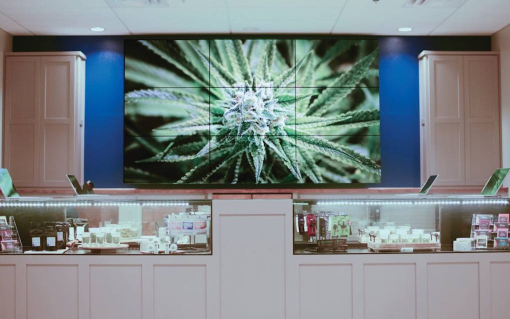 The 24 Best Dispensaries to Visit With Your Mom | Leafly