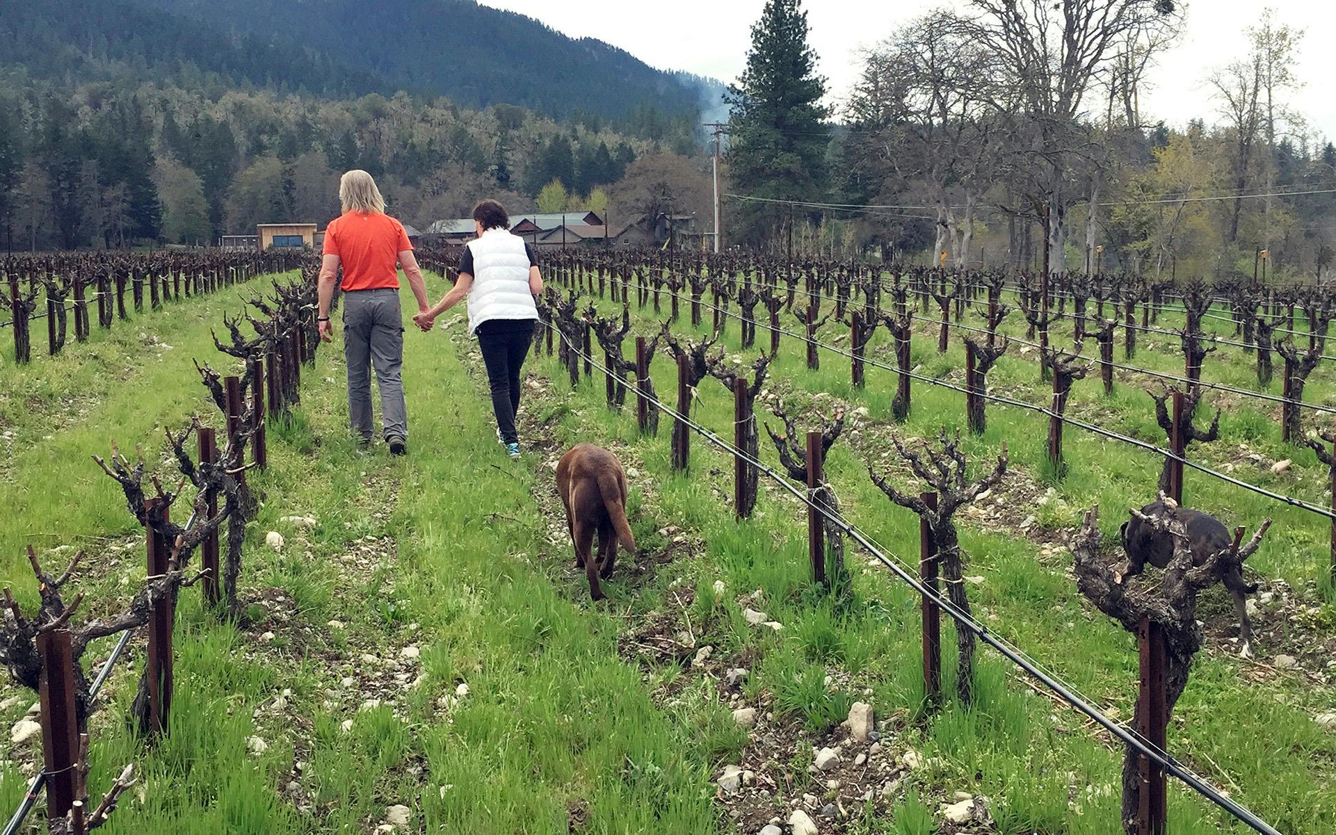 Wine and Cannabis? Oregon Vineyards Give Marijuana Farming a Try | Leafly