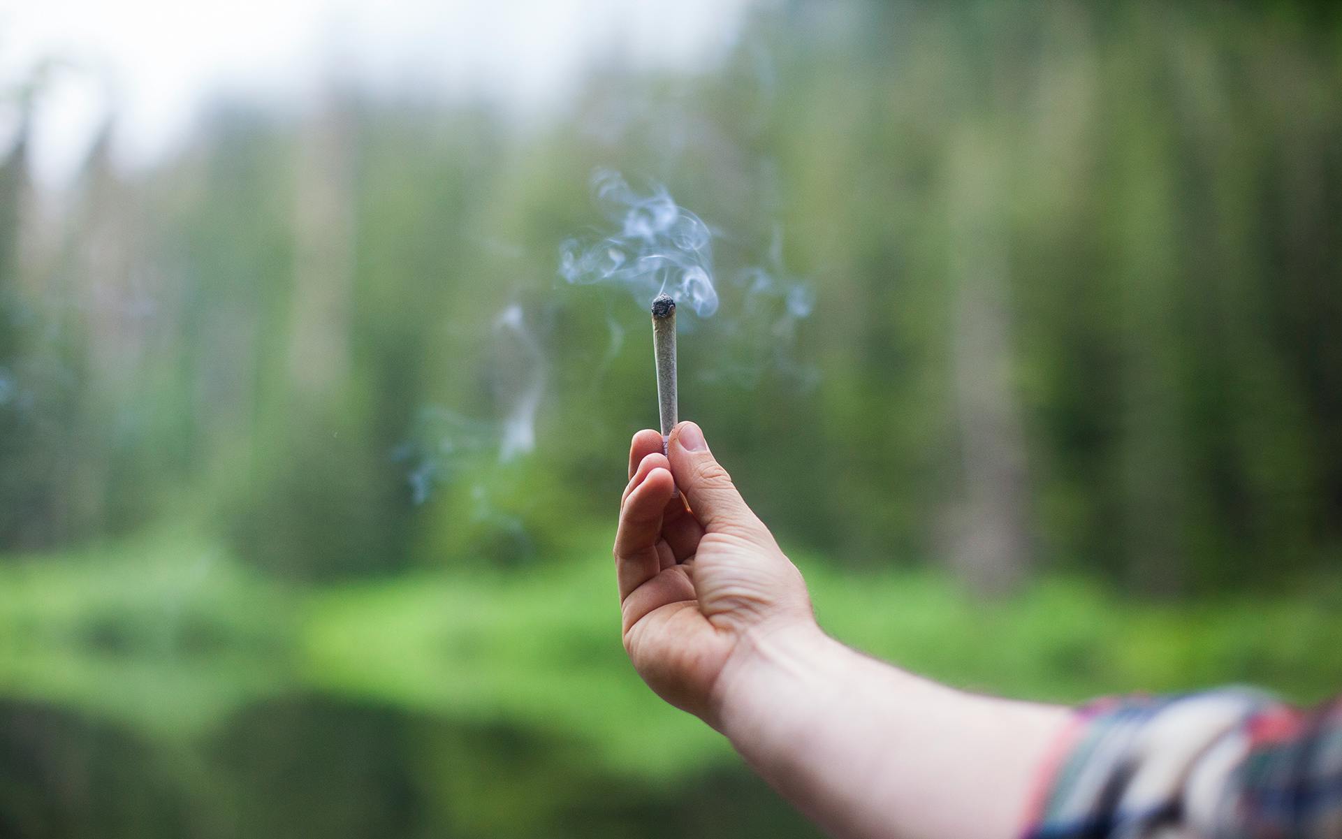 Relaxing Cannabis Strains for Your Next Camping Trip | Leafly