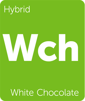 New Strains Alert: White Chocolate, Tangerine Trainwreck Haze, and More ...
