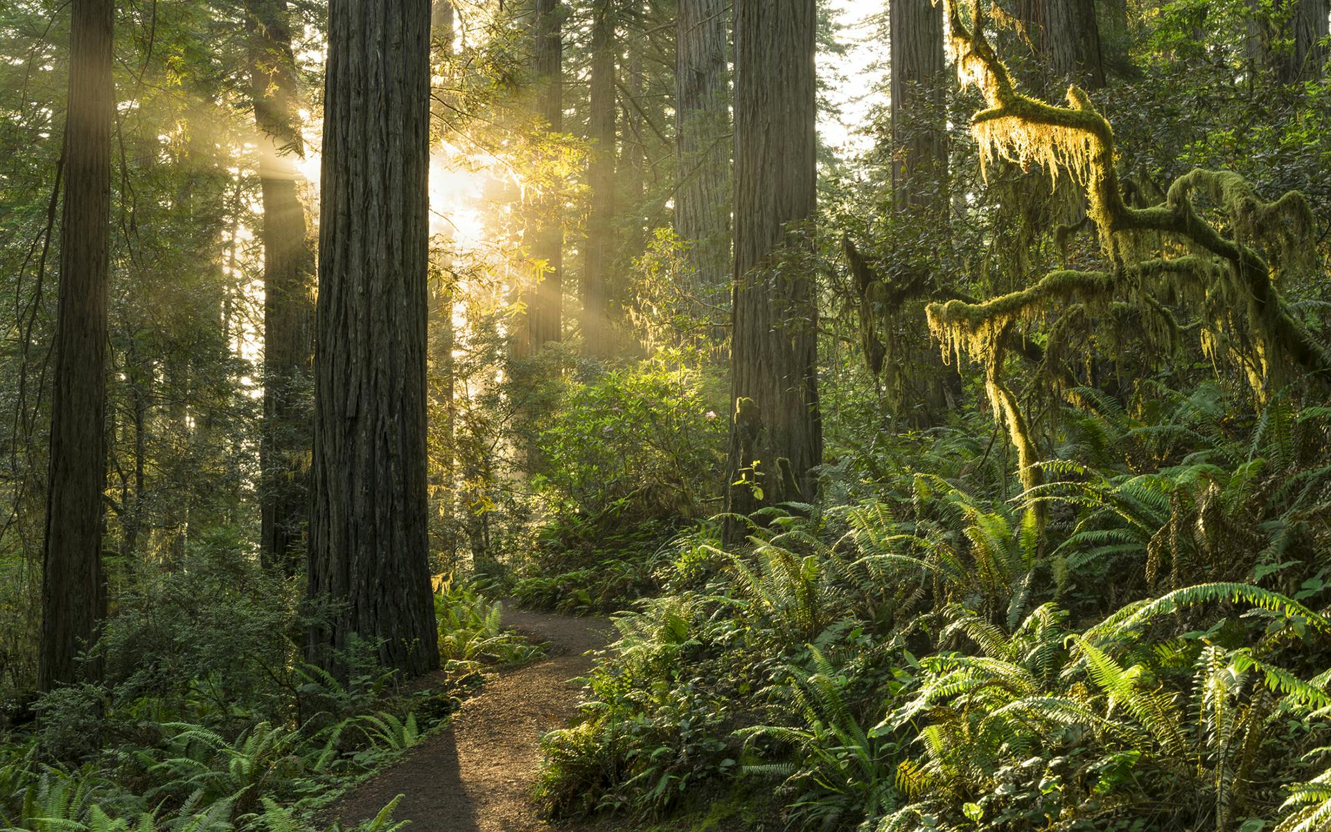 The Ultimate Cannabis Road Trip Through California | Leafly