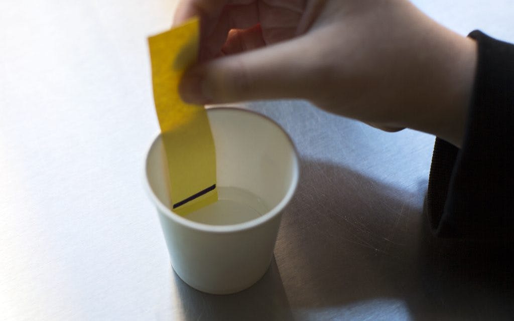 Cannabis Potency: How Does Lab Testing for THC and CBD Work? | Leafly