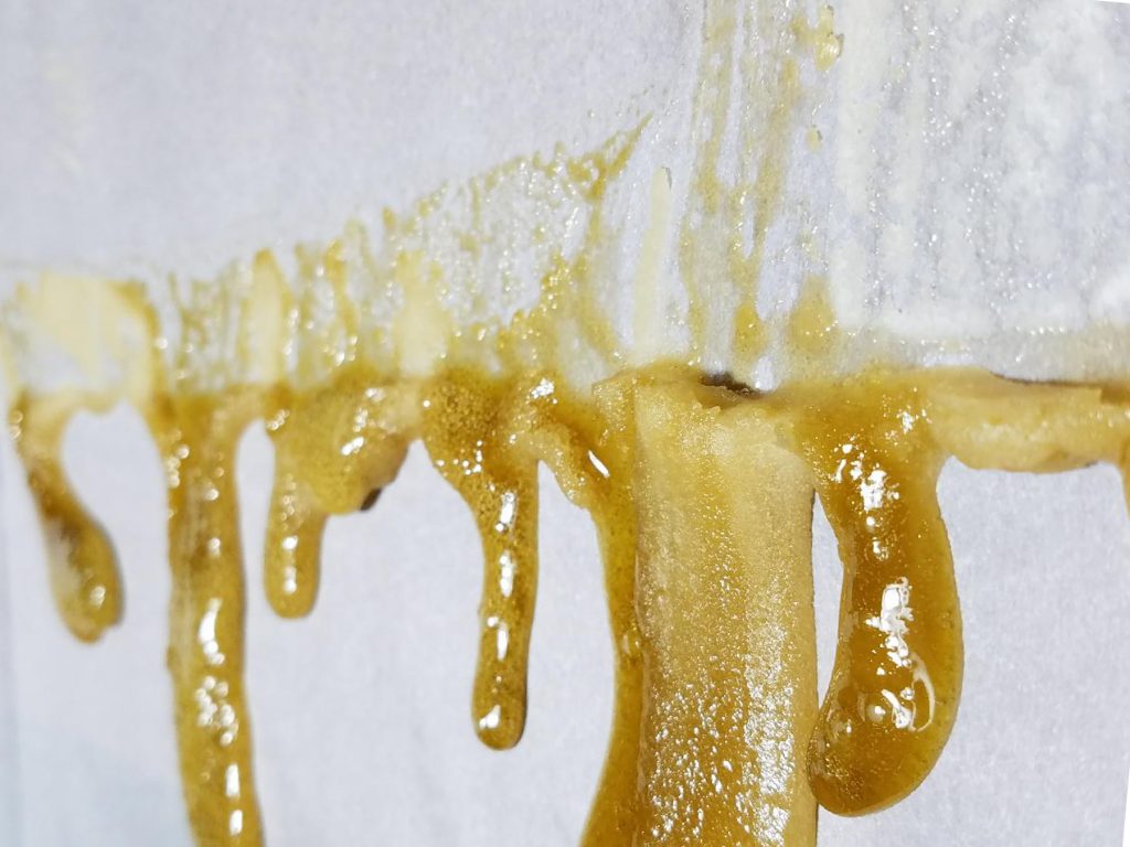 From Dry Sift to Pure Rosin in One Squash | Leafly