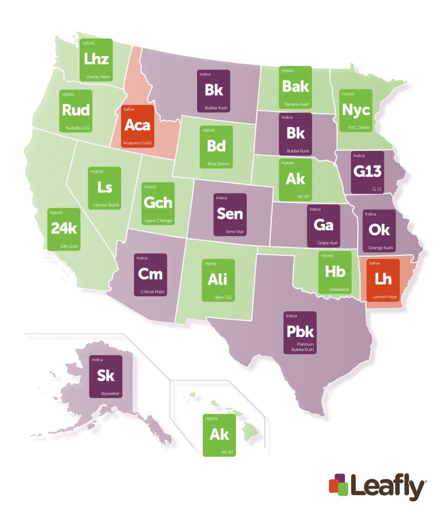 Infographic: The Fastest-Trending Cannabis Strain in Every State in ...