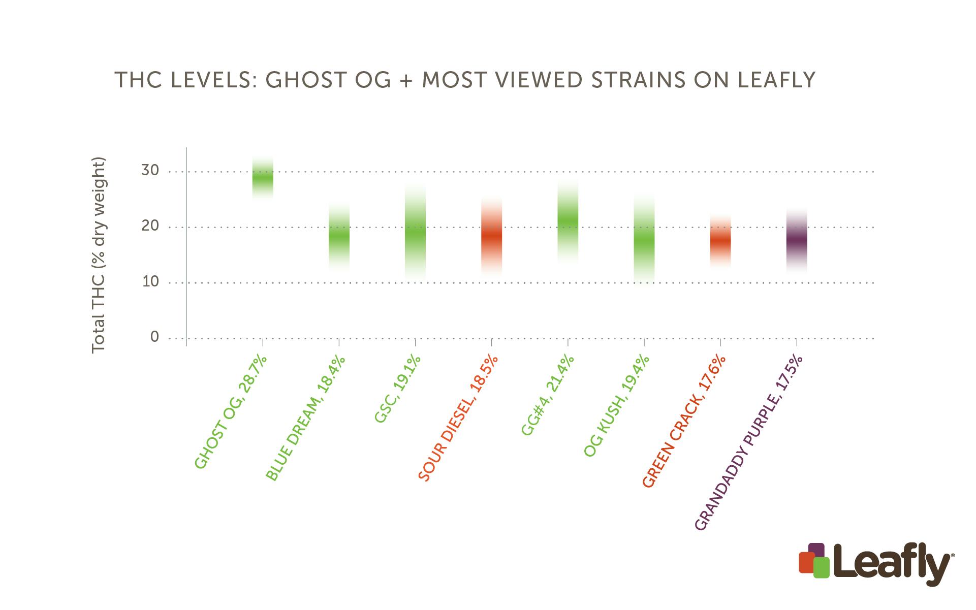 What Cannabis Strain Has the Most THC, According to Lab Data? | Leafly