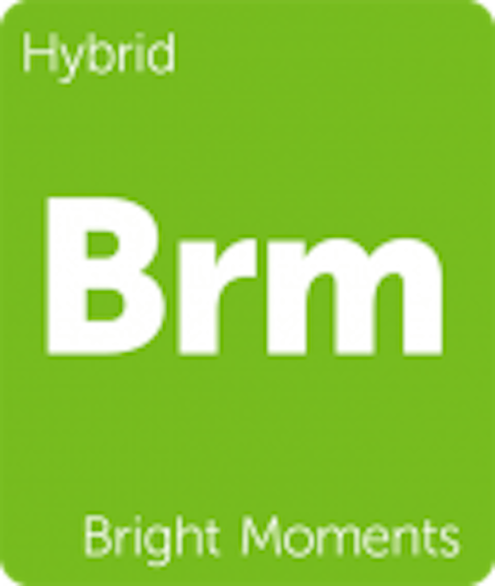 New Strains Alert: Bright Moments, The Wills, Laughing Gas, and More ...