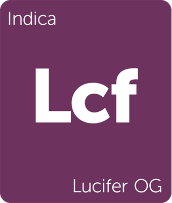 New Strains Alert: American Beauty, River Song, Lucifer OG, and More ...