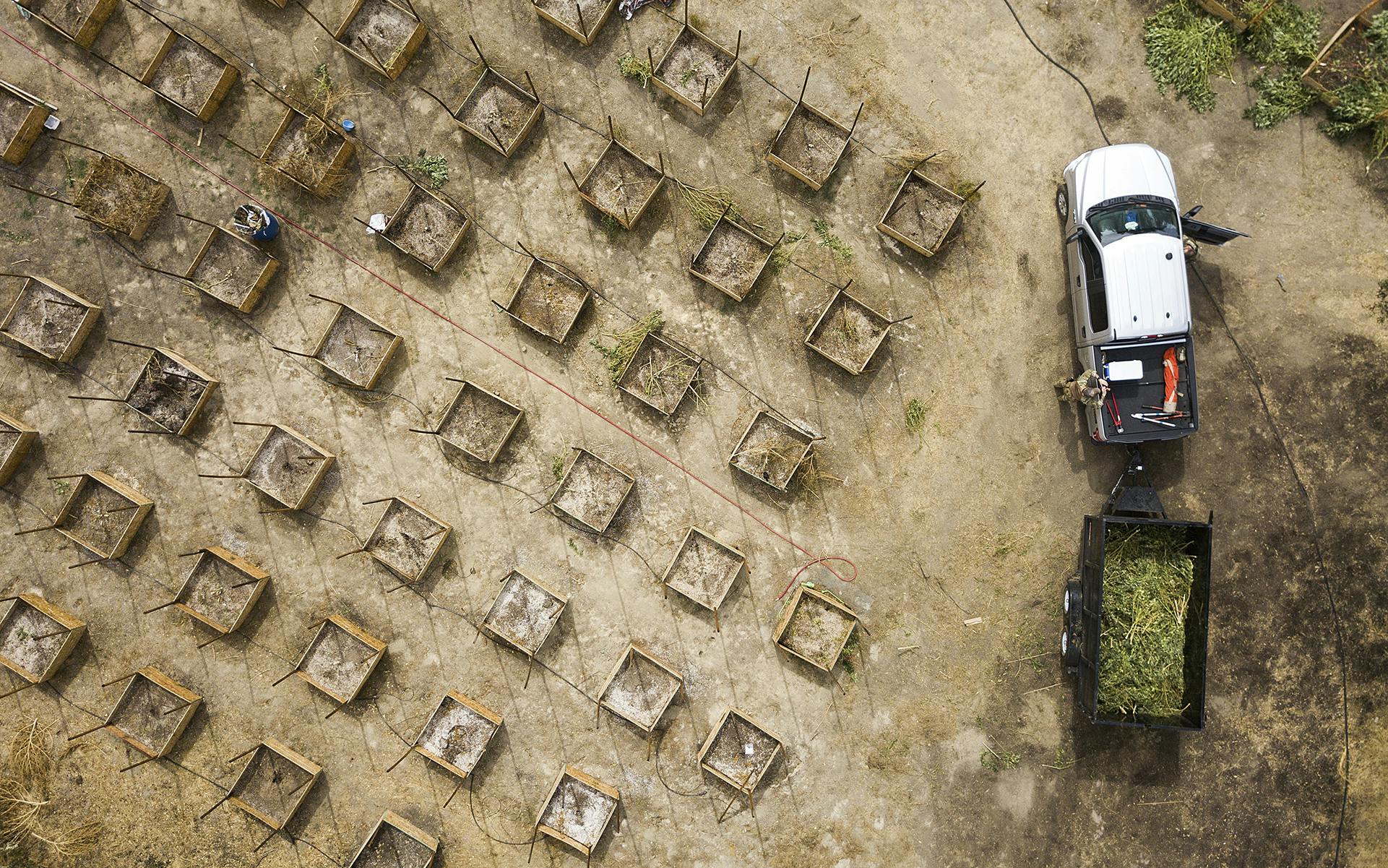 How a Cannabis Ban Turned One California County Into 'Ground Zero for ...