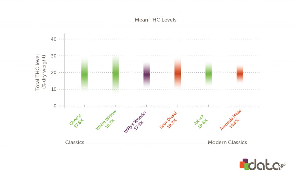 6 Classic Strains That Influenced the Modern World of Cannabis | Leafly