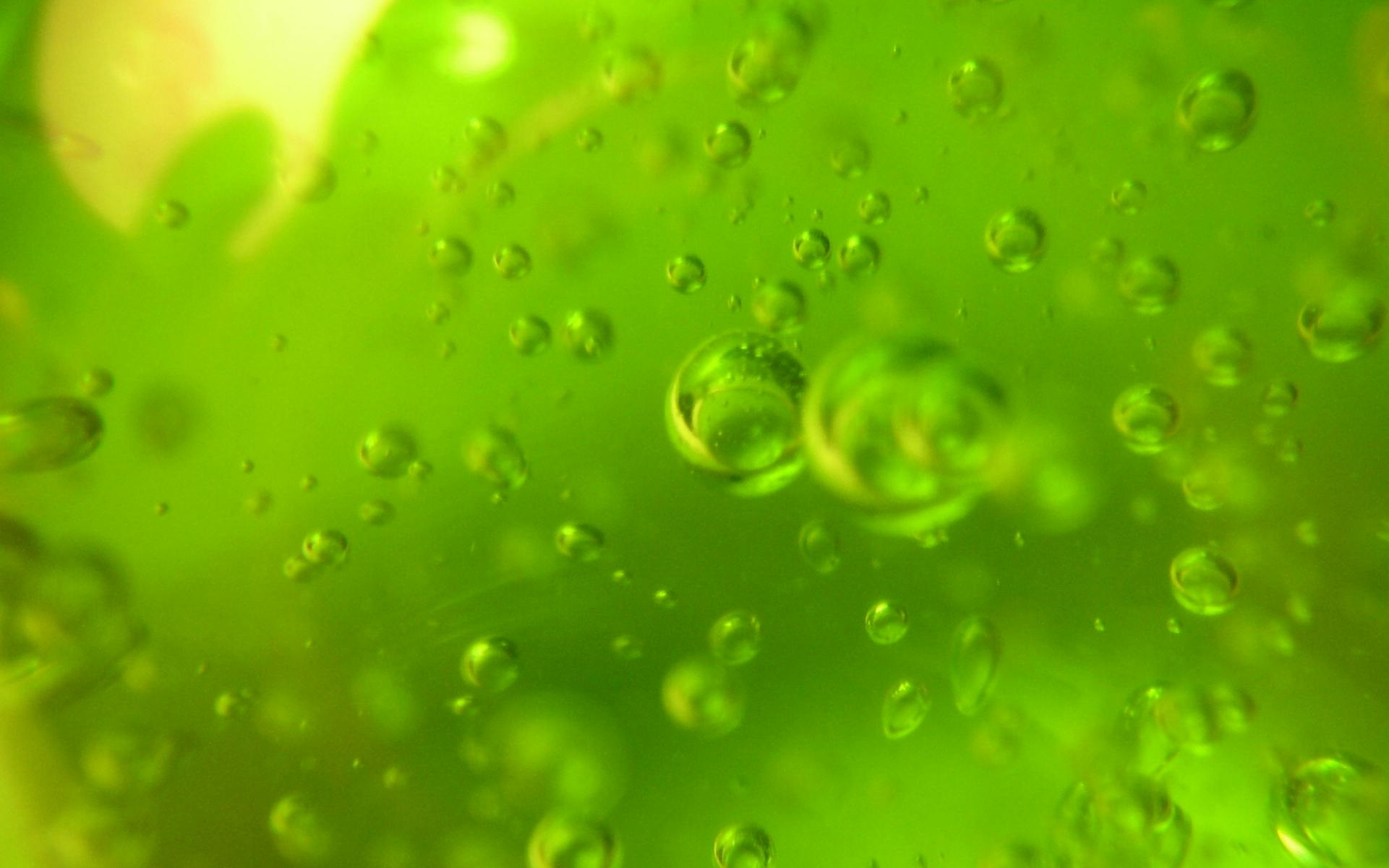 Making Homemade Slime: Is It Worth the High? | Leafly